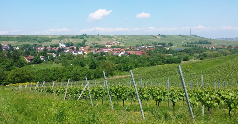 Warum in die Ferne schweifen? Kleine Radtour nach Partenheim und ...