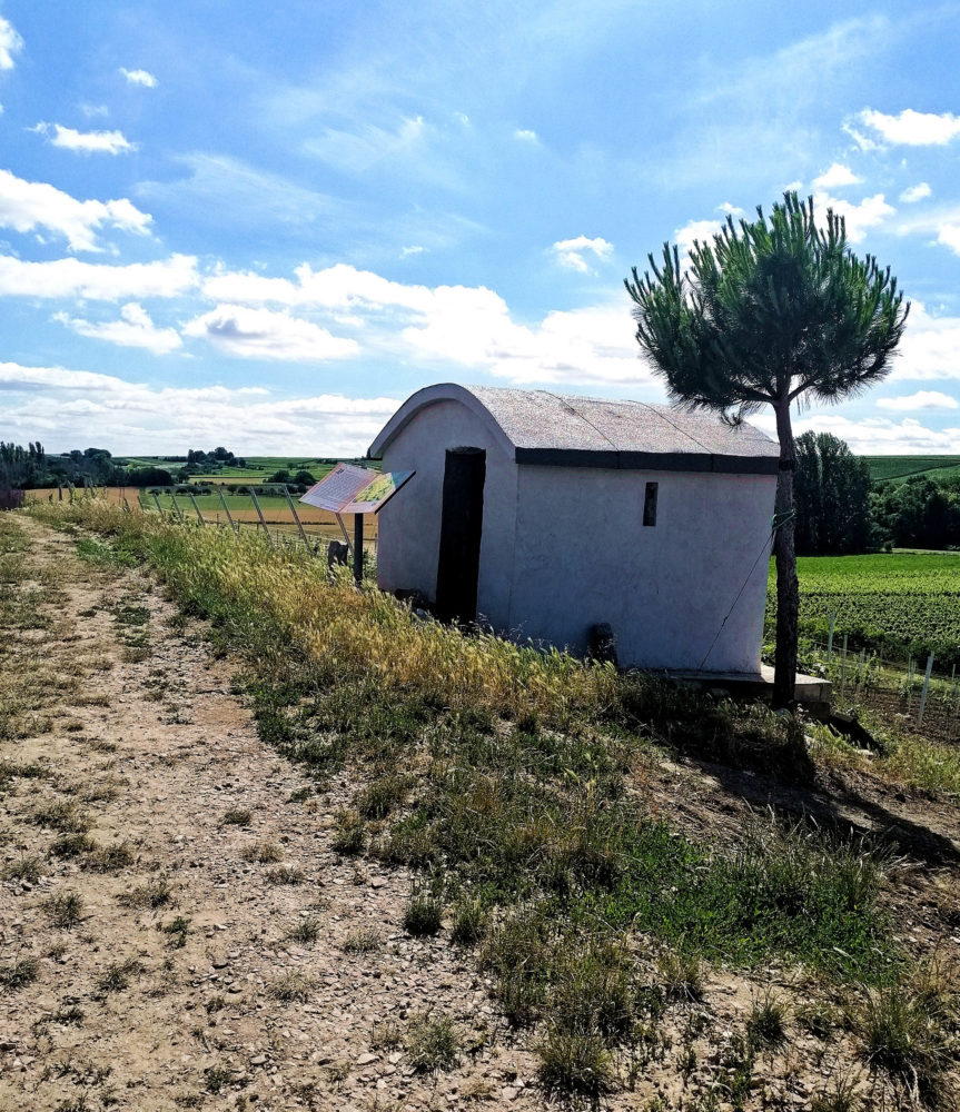 Unterwegs auf dem biblischen Weinpfad in Partenheim - Rheinhessenliebe