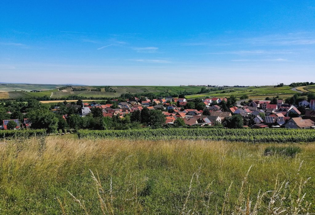 7 Gründe, warum du mal auf der Hiwweltour Neuborn wandern sollest