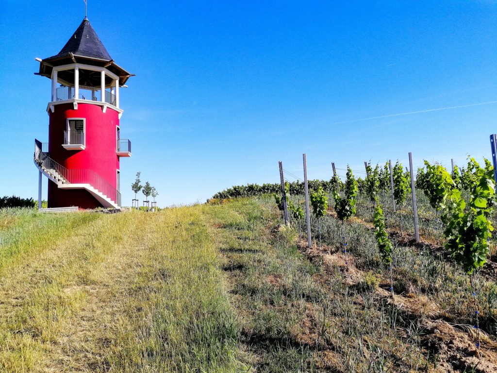 7 Gründe, warum du mal auf der Hiwweltour Neuborn wandern sollest