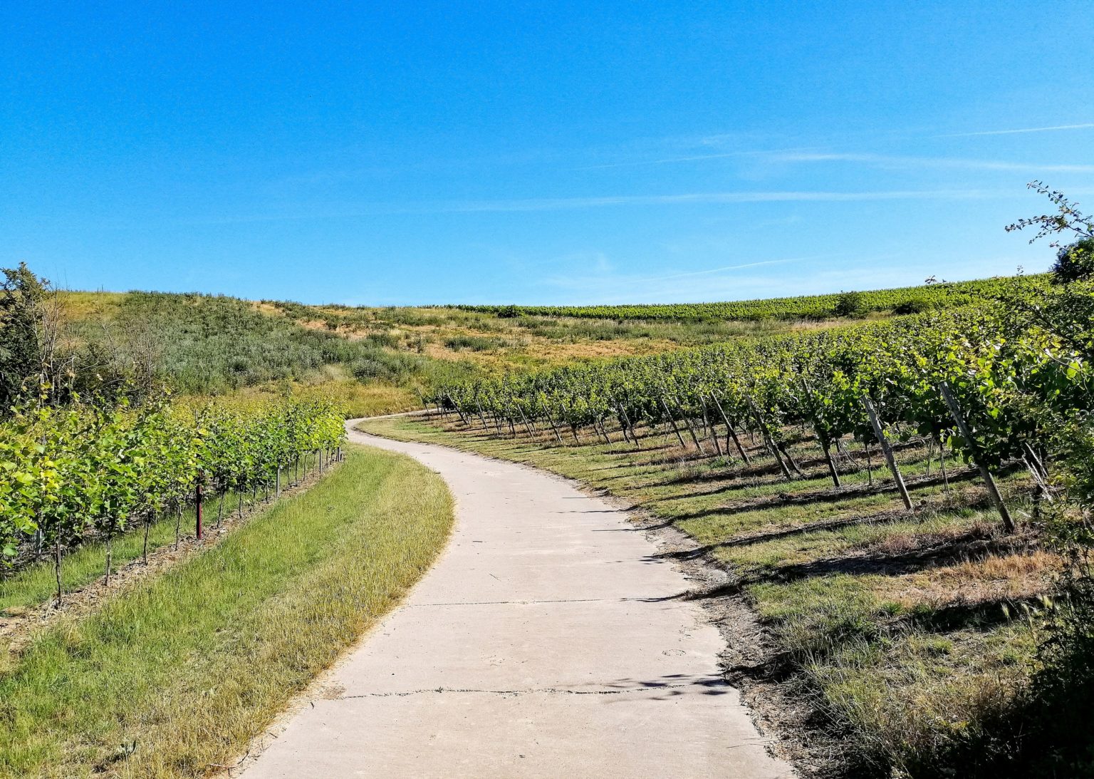 7 Gründe, warum du mal auf der Hiwweltour Neuborn wandern sollest