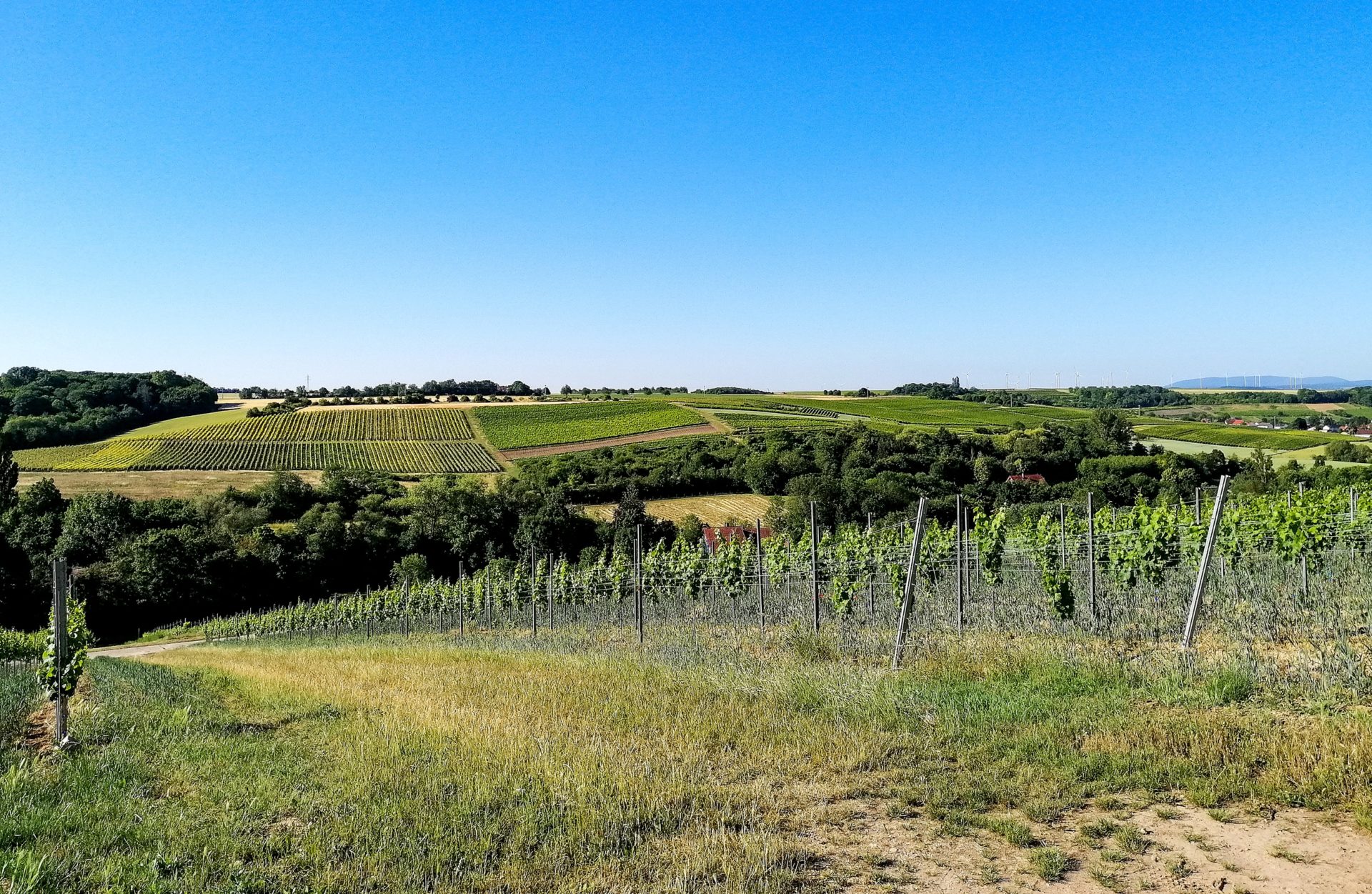 7 Gründe, warum du mal auf der Hiwweltour Neuborn wandern sollest