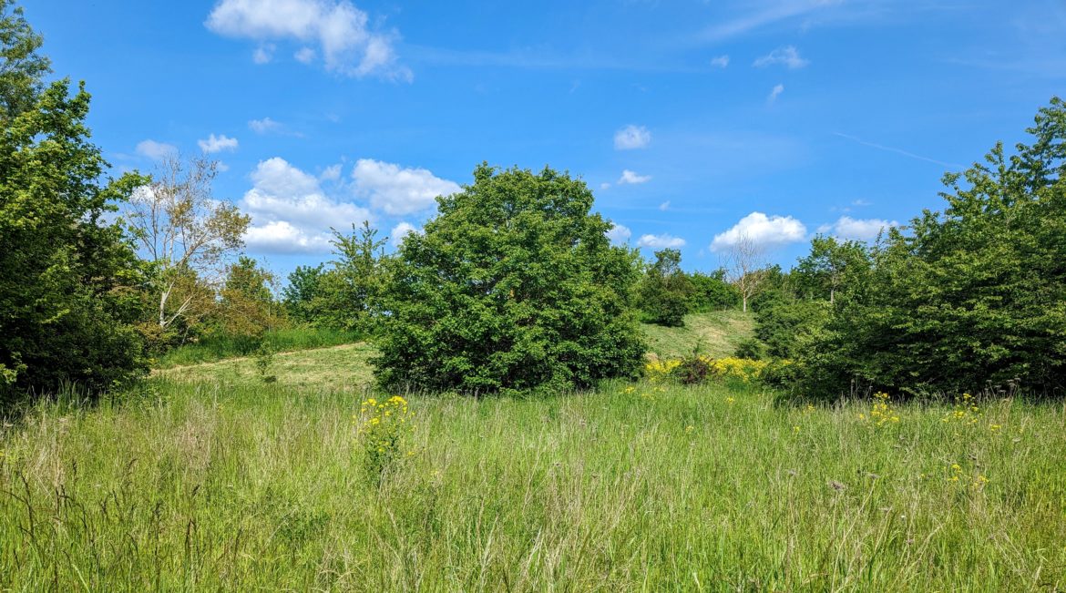 Mühlbachaue Saulheim - ein Geheimtipp für Erholungssuchende