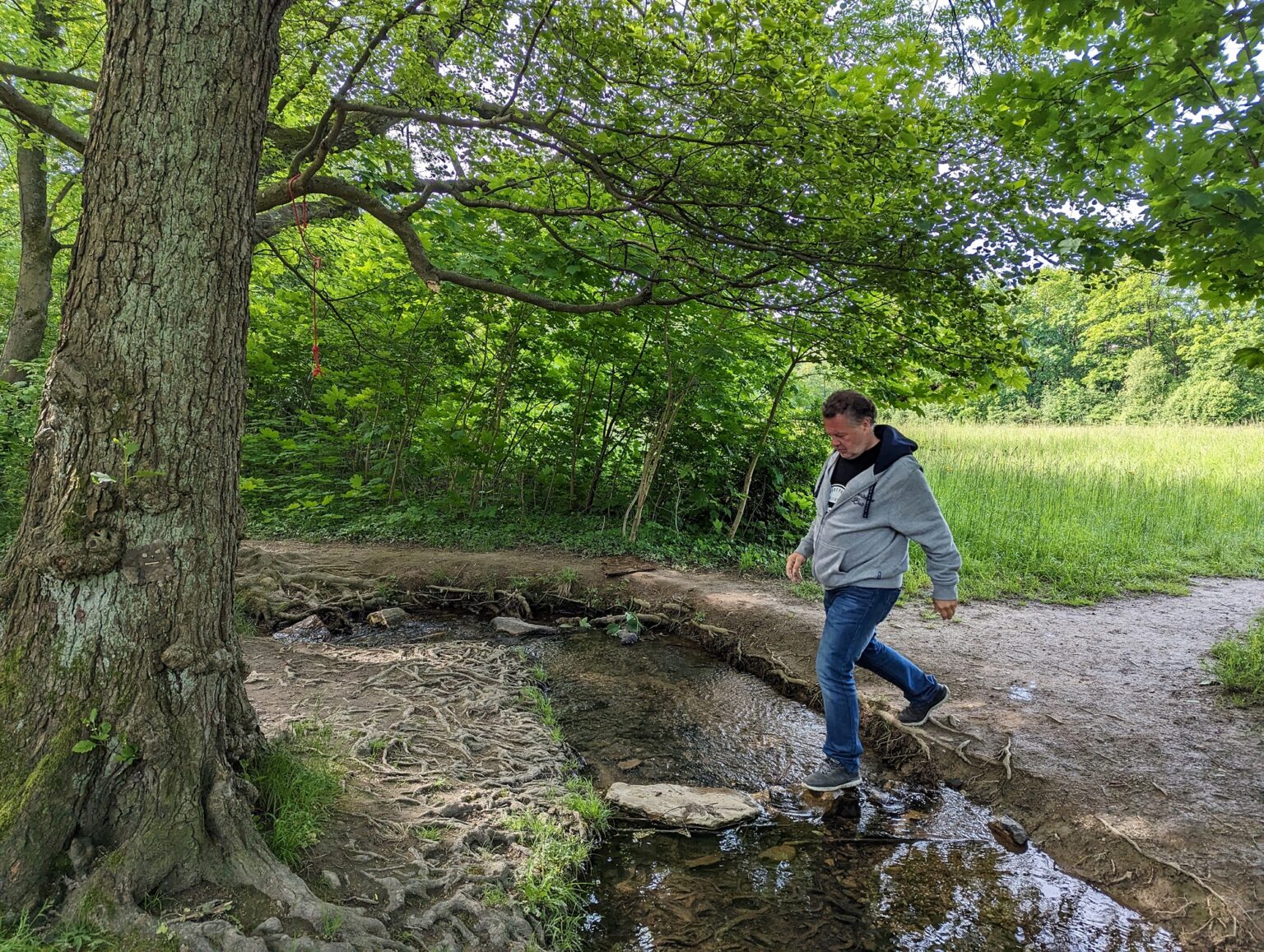 Aktivitäten in Rhein-Main: 3 grandiose Ausflugsziele