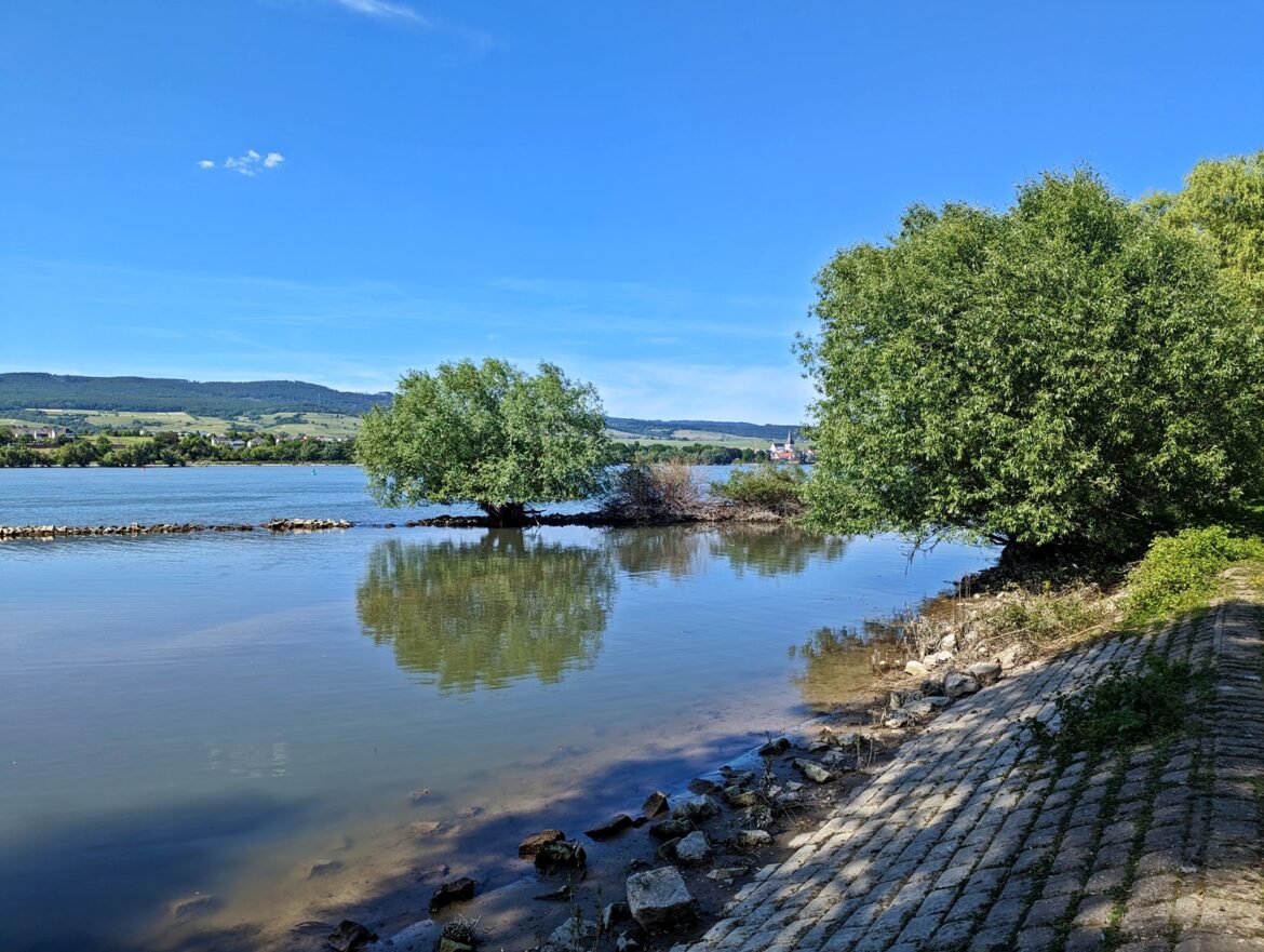 Grandiose Ausflugsziele am Wasser im Rhein-Main-Gebiet